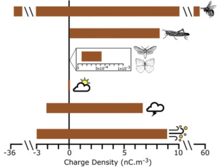 Buzzing Bees are Adding an Electric Charge to the Atmosphere - Electro ...